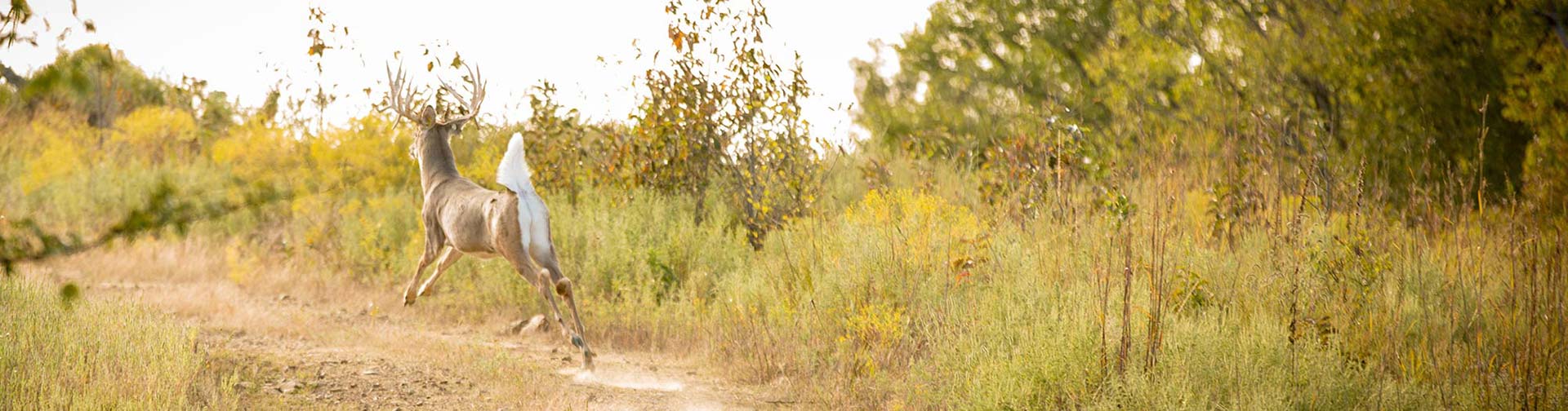 Choctaw Hunting Lodge | Classic American Tent Camp