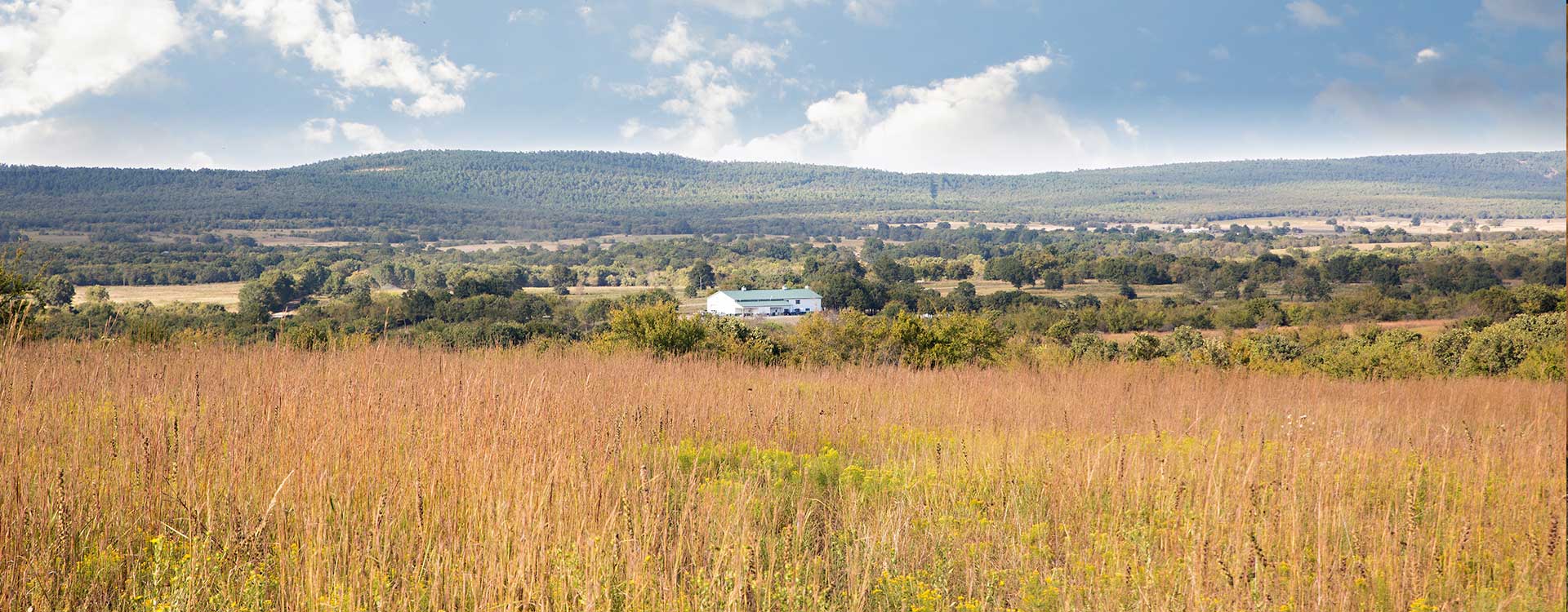 Choctaw Hunting Lodge | Contact Us